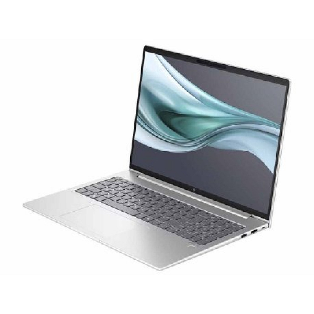 HP EliteBook 660 G11 (Pike silver) WUXGA IPS, Ultra 5 125U,